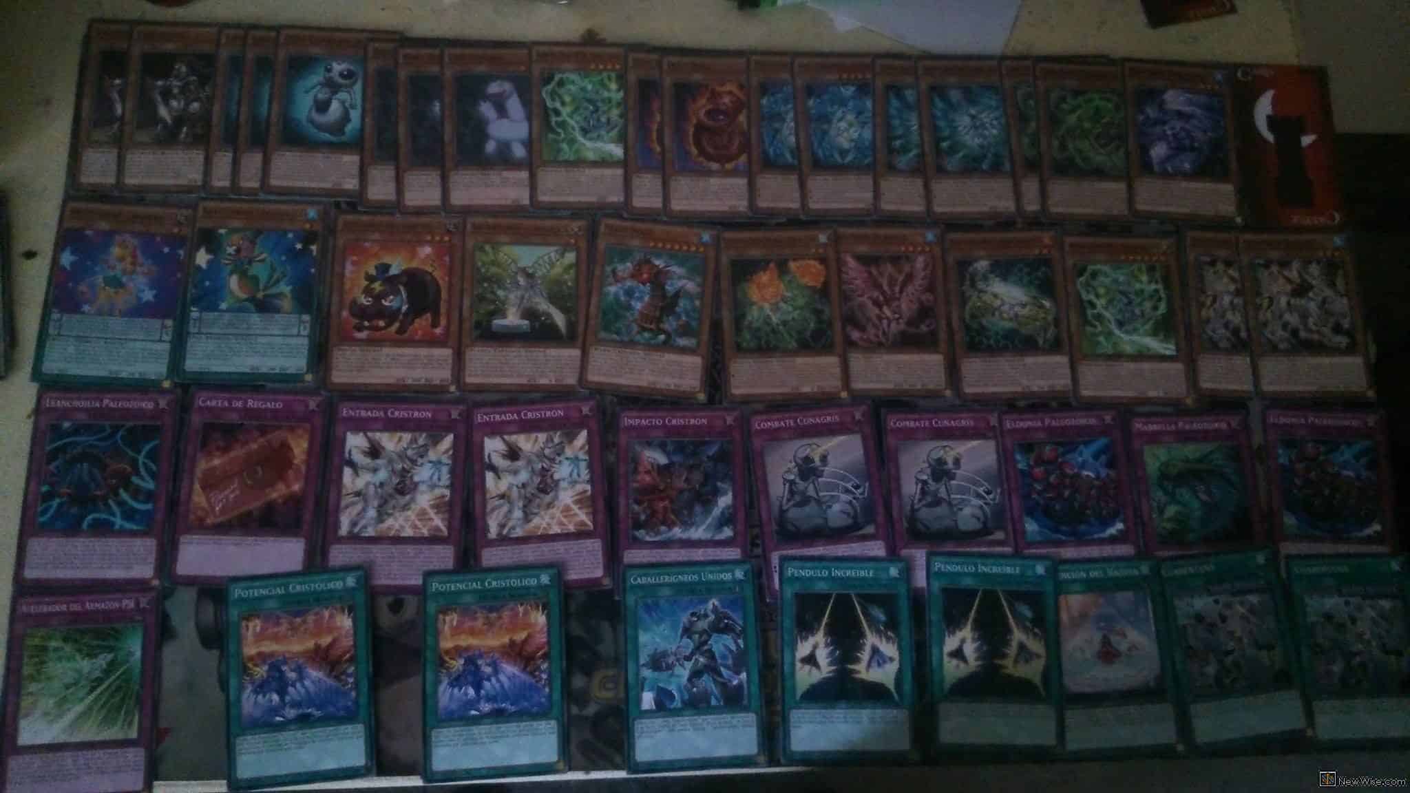 The Organization | [TCG] INOV early pictures
