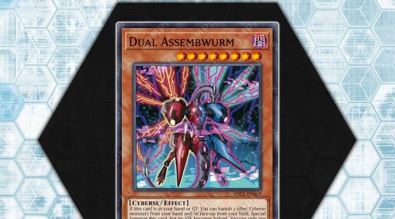 The Organization | [TCG] Cyberse Link Album